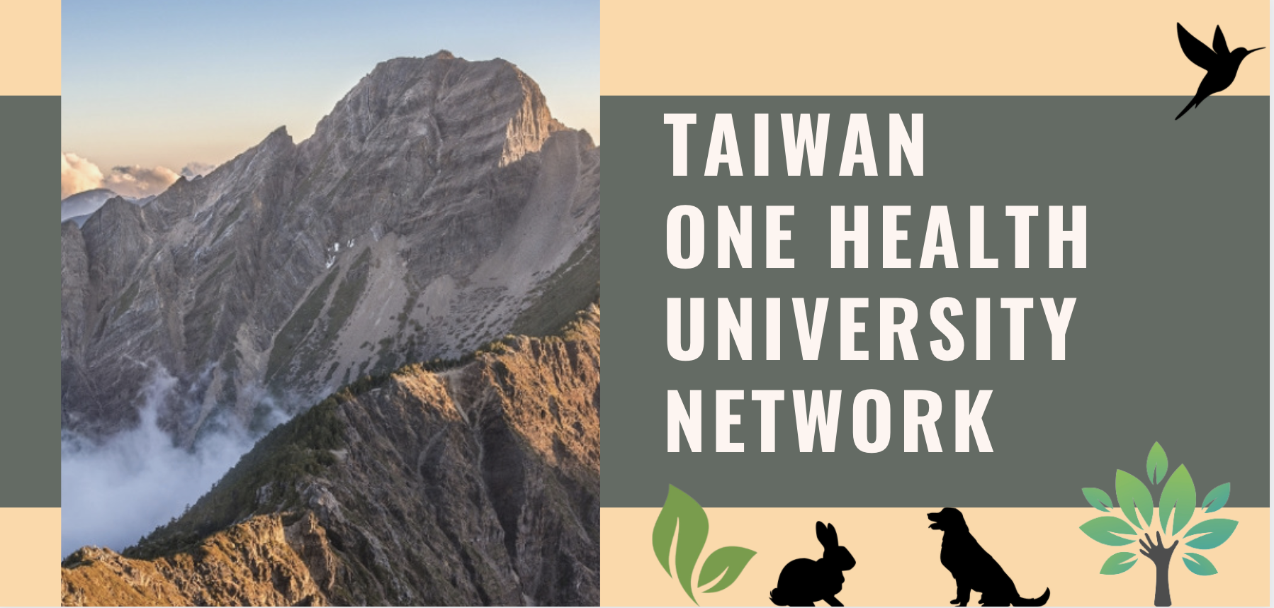TAOHUN – Taiwan One Health University Network